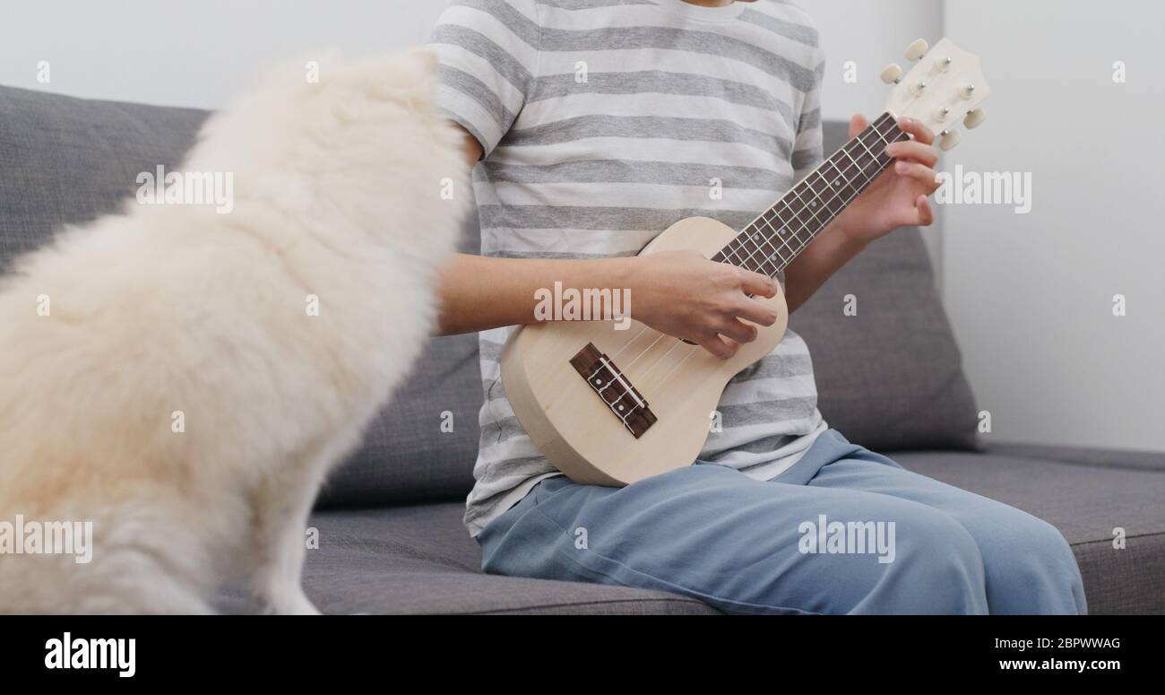 Pet owner play ukulele with her dog Stock Photo - Alamy