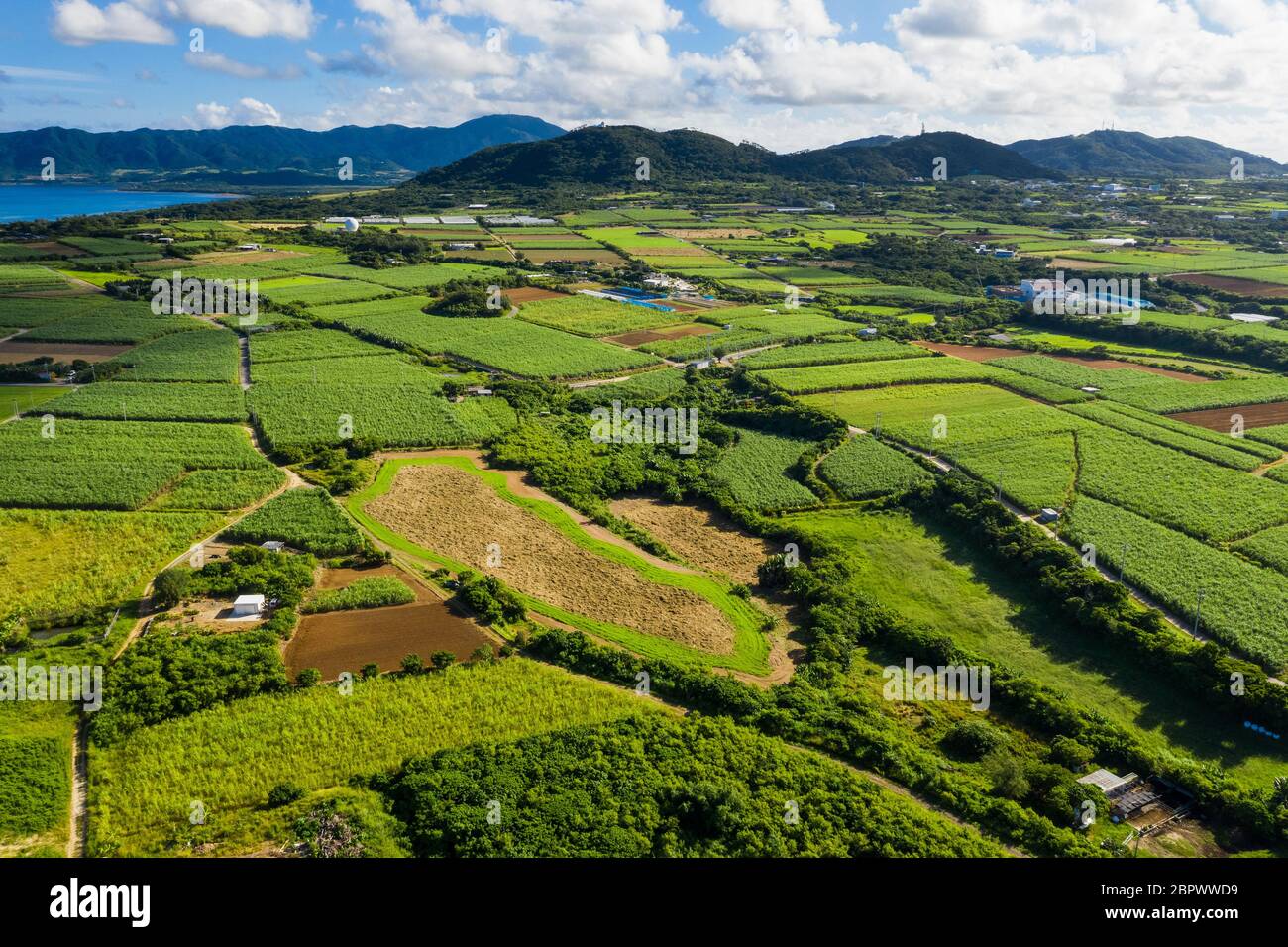 Ishigaki island of Japan Stock Photo - Alamy