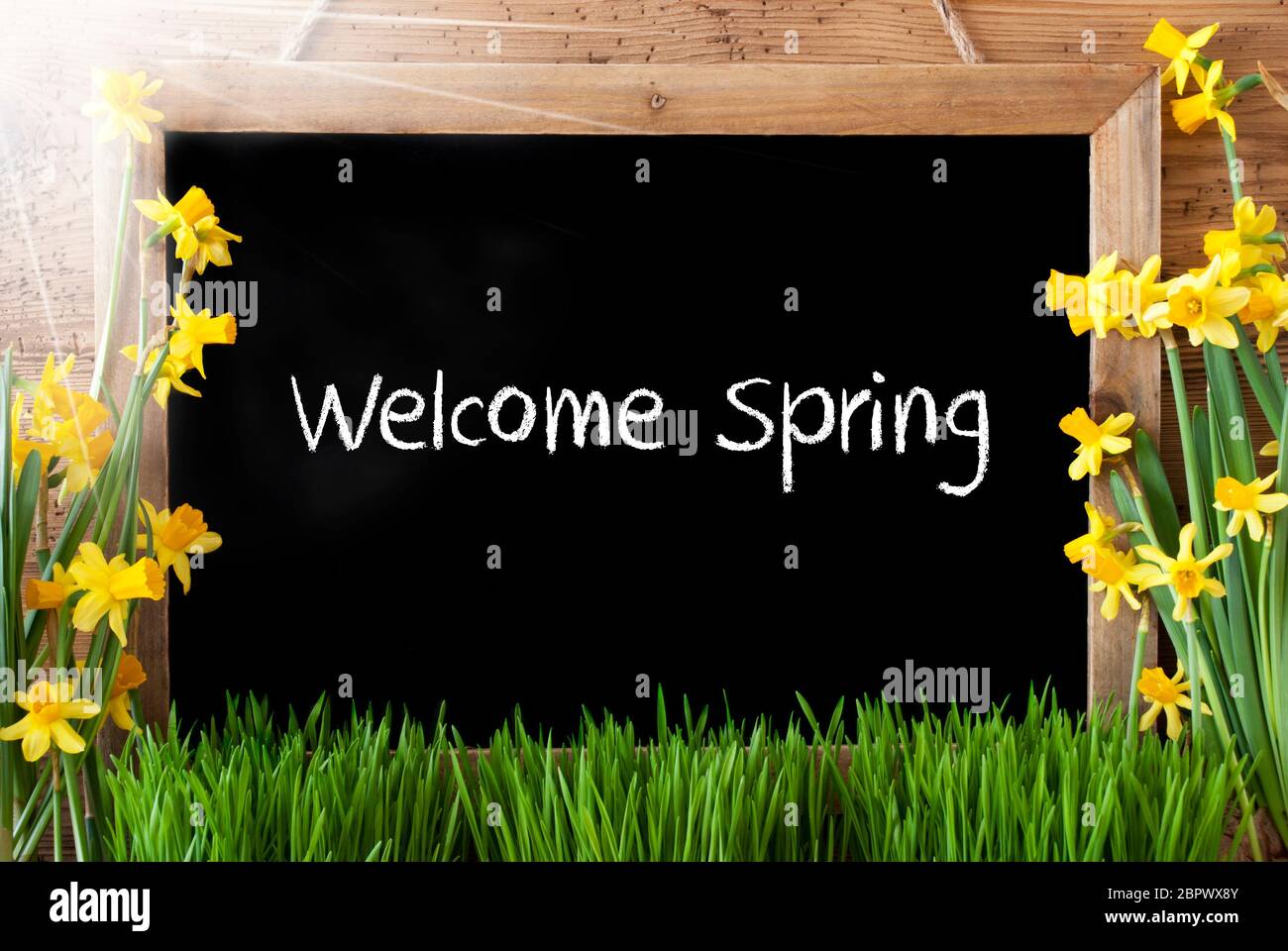 Blackboard With English Text Welcome Spring. Sunny Spring Flowers ...