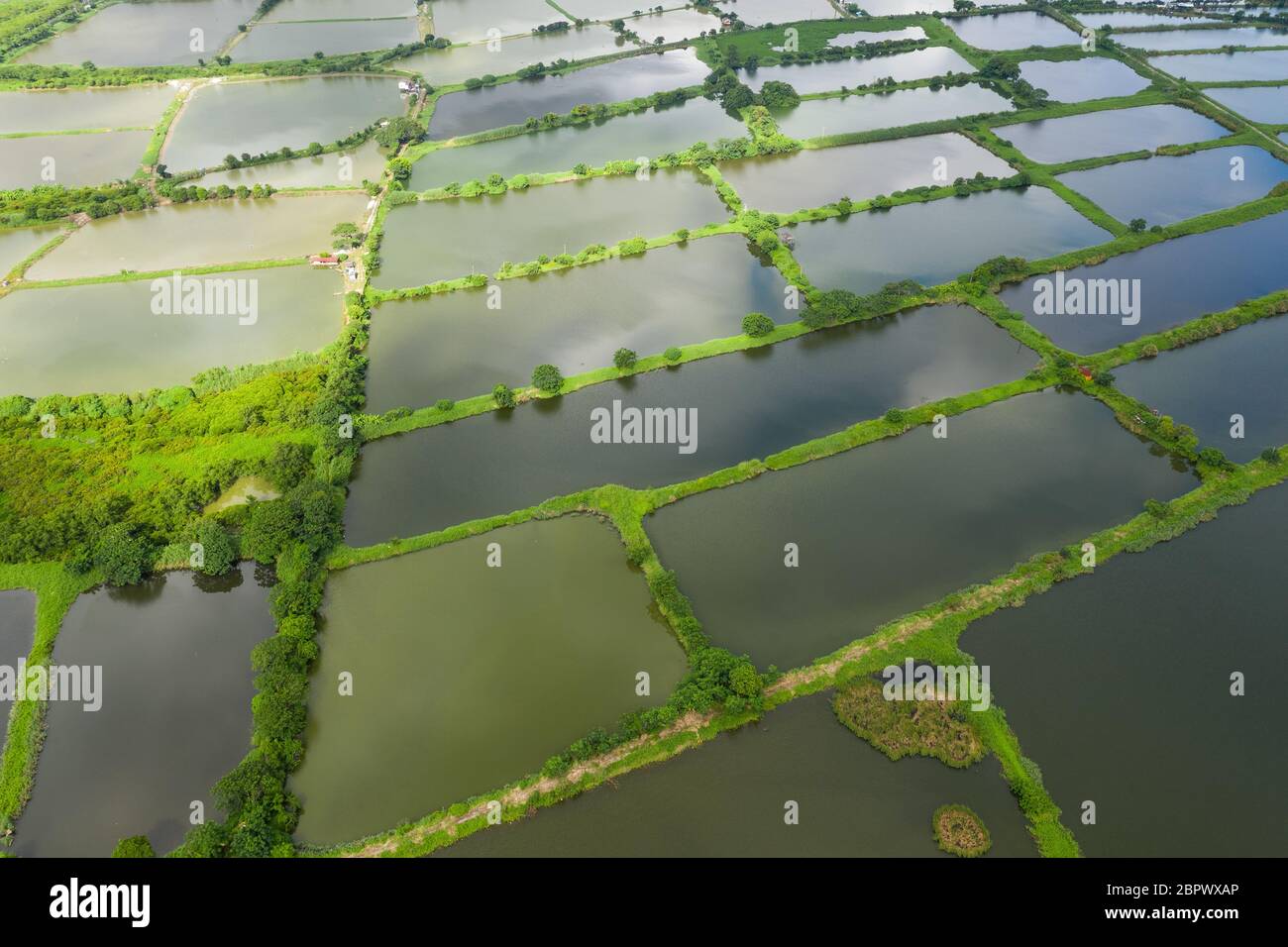 Drone fly over Fish hatchery pond Stock Photo - Alamy
