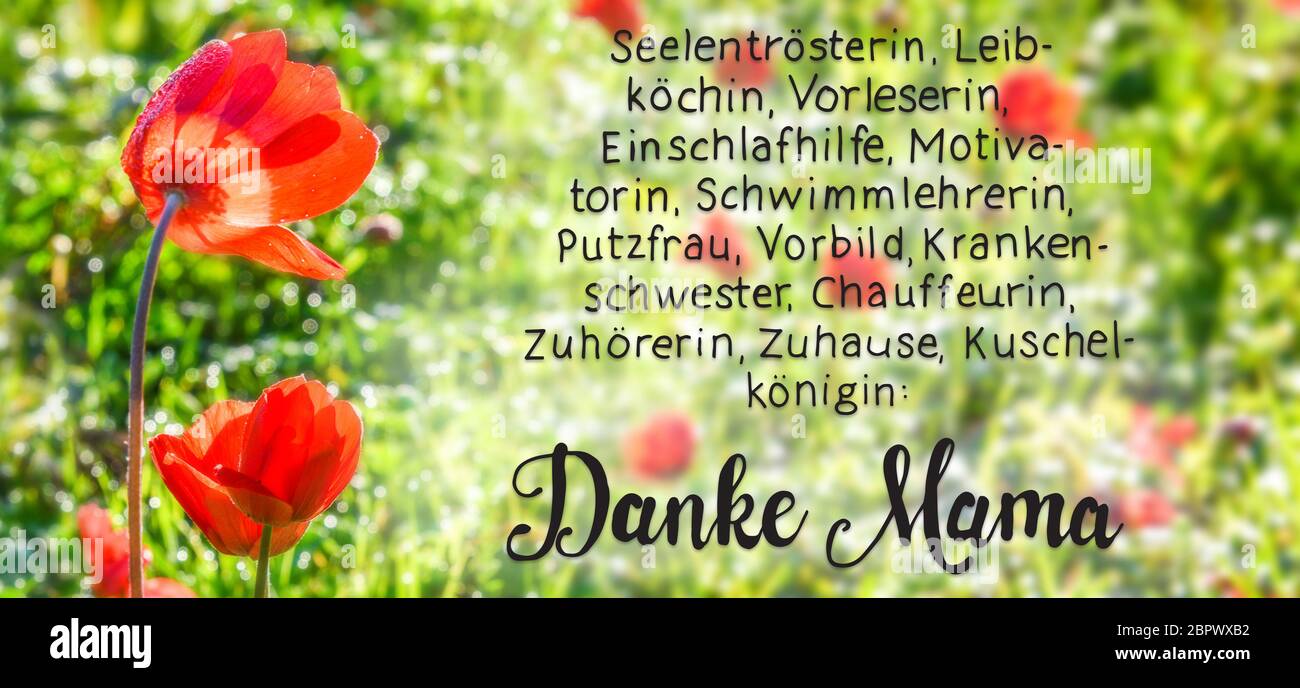 German Calligraphy Danke Mama Means Thanks Mom. Red Poppy Flower Meadow ...