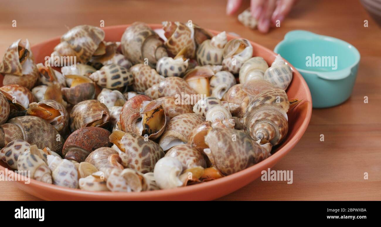 Apple snail shells hi-res stock photography and images - Alamy