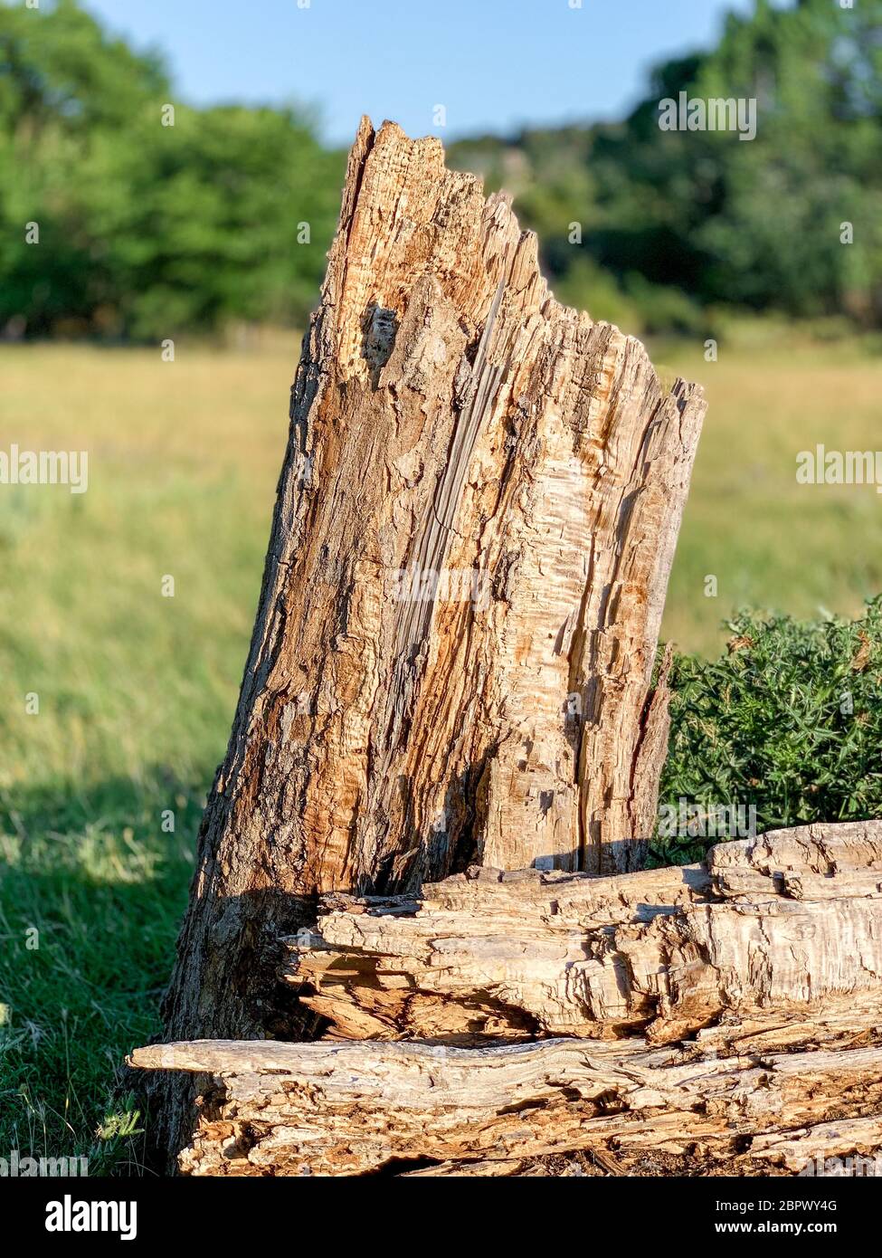 Broken log hi-res stock photography and images - Alamy