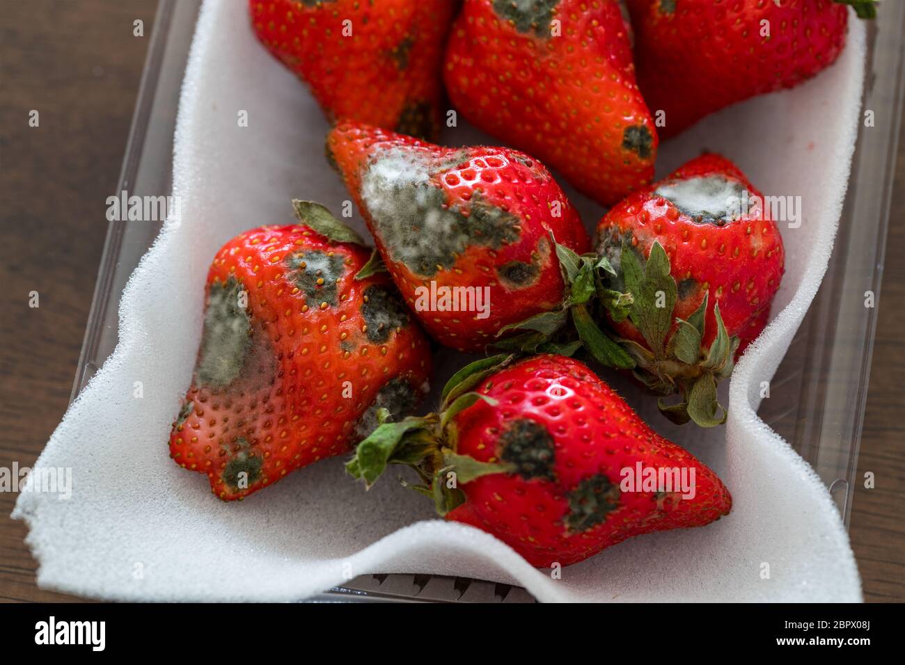Strawberries with mold Stock Photo - Alamy