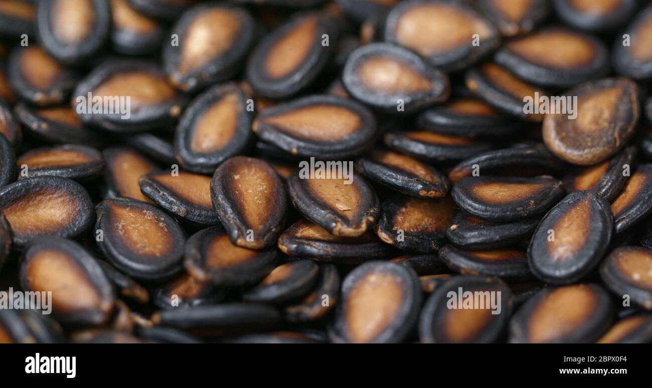 Black watermelon seed Stock Photo - Alamy