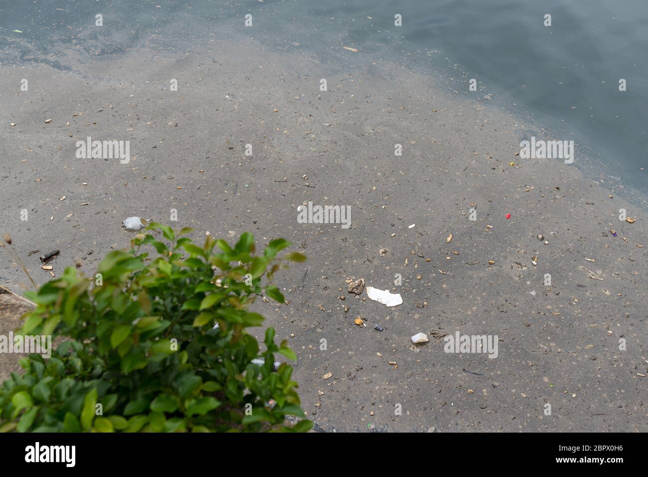 Water pollution in the sea Stock Photo - Alamy
