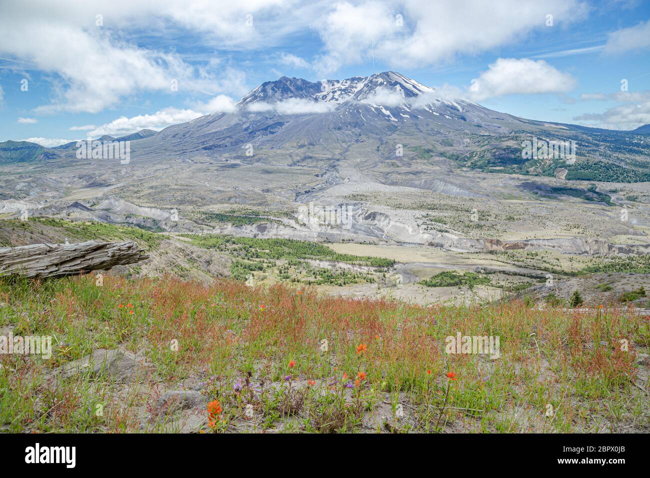 Mount St. Helens is an active stratovolcano that had a major eruption ...