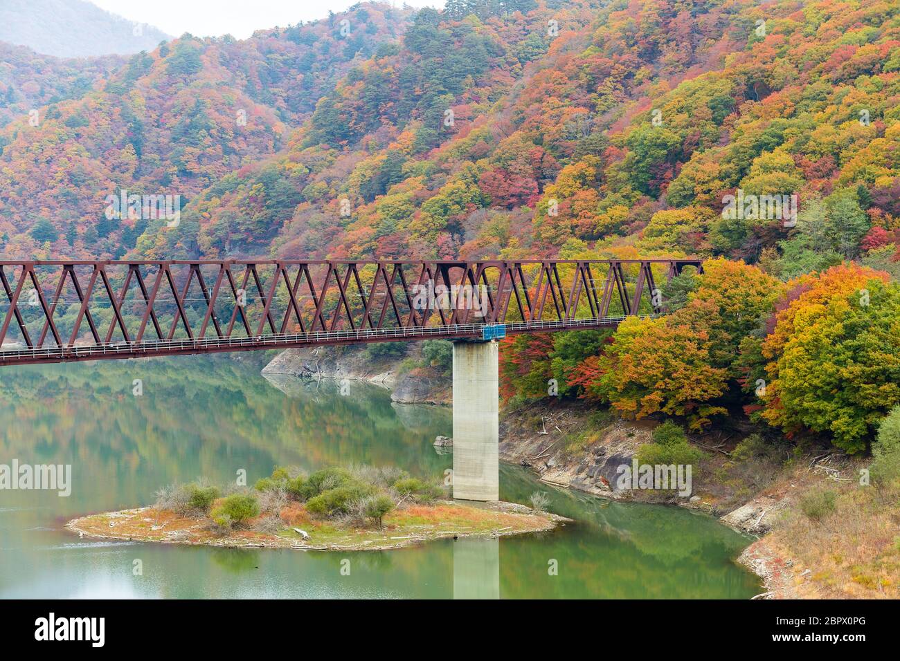 Train bridge pass though the forest in autumn Stock Photo - Alamy