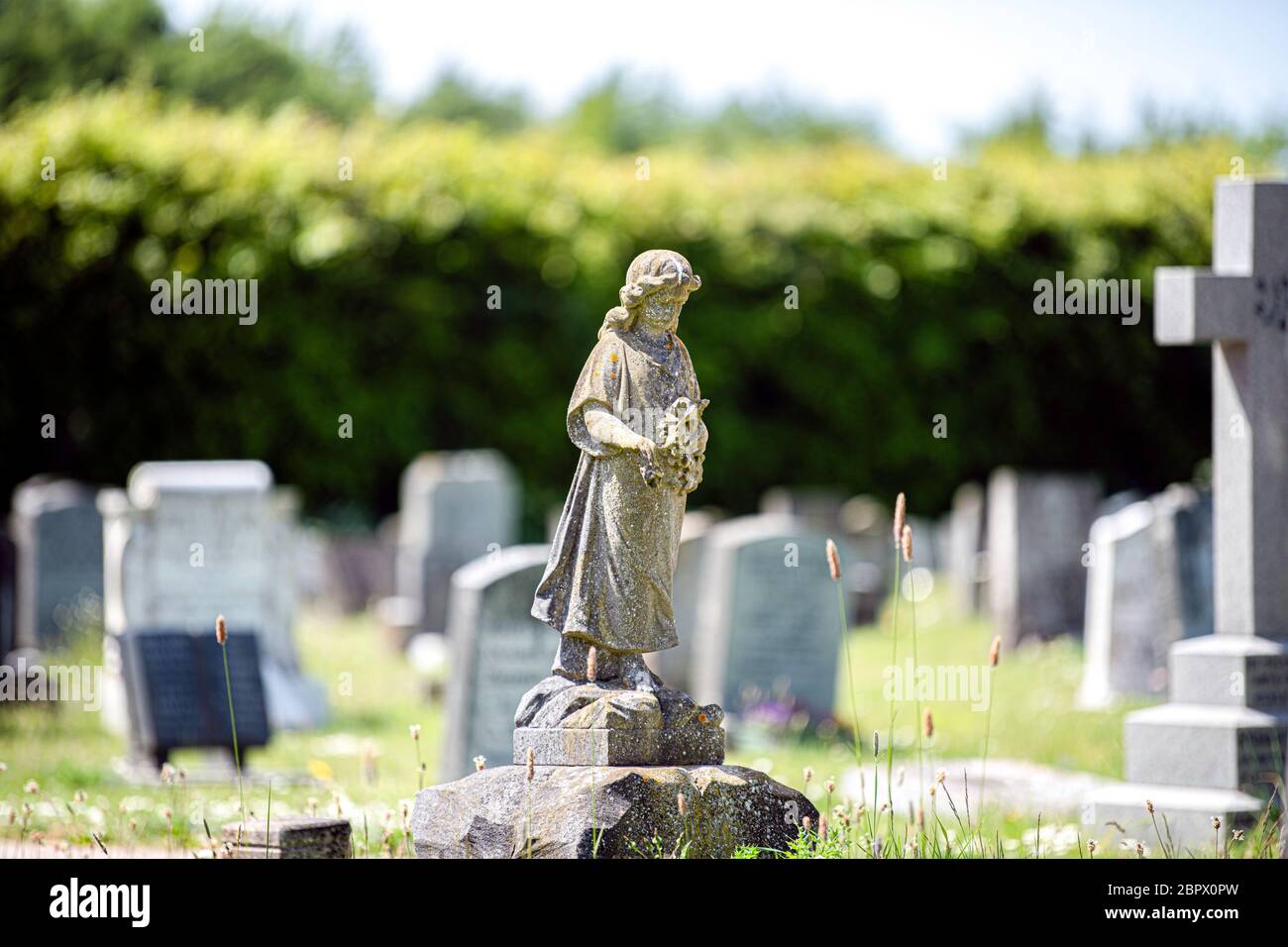 Overgrown statue hi-res stock photography and images - Alamy