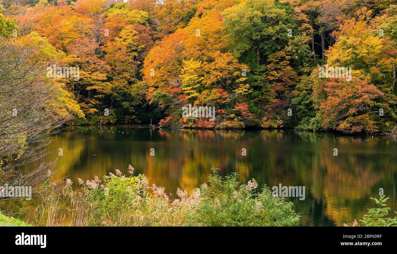 Landscapes countryside japan river hi-res stock photography and images ...