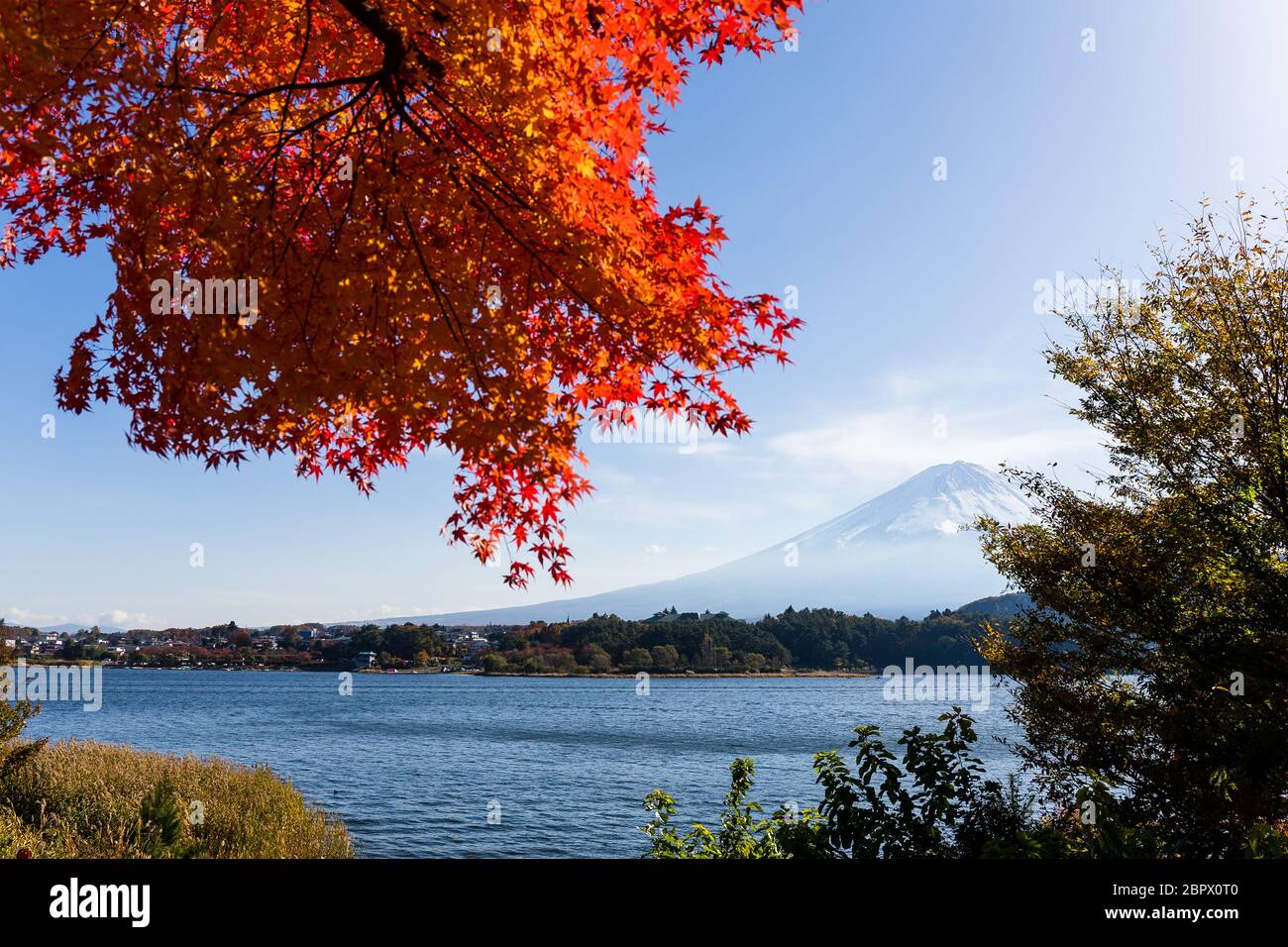 Maple tree and mountain Fuji Stock Photo - Alamy