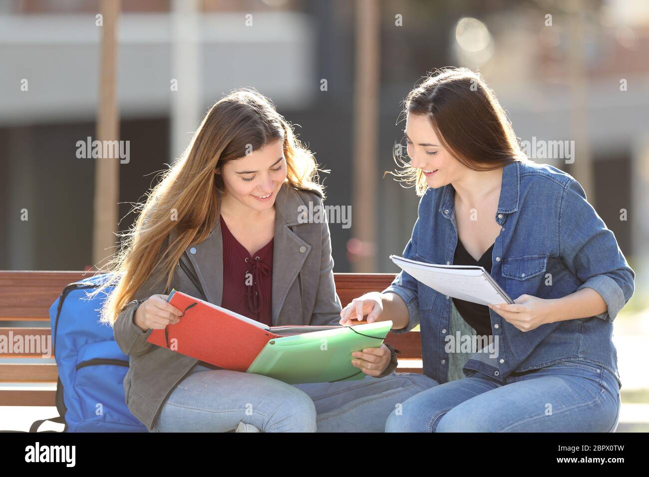 Two happy students studying comparing notes sitting on a bench in a ...