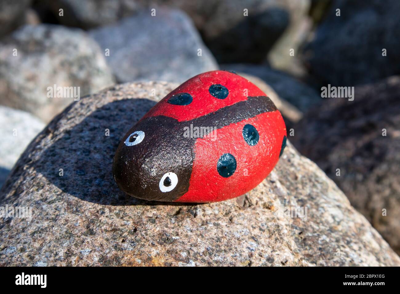 small stone painted as ladybug Stock Photo - Alamy