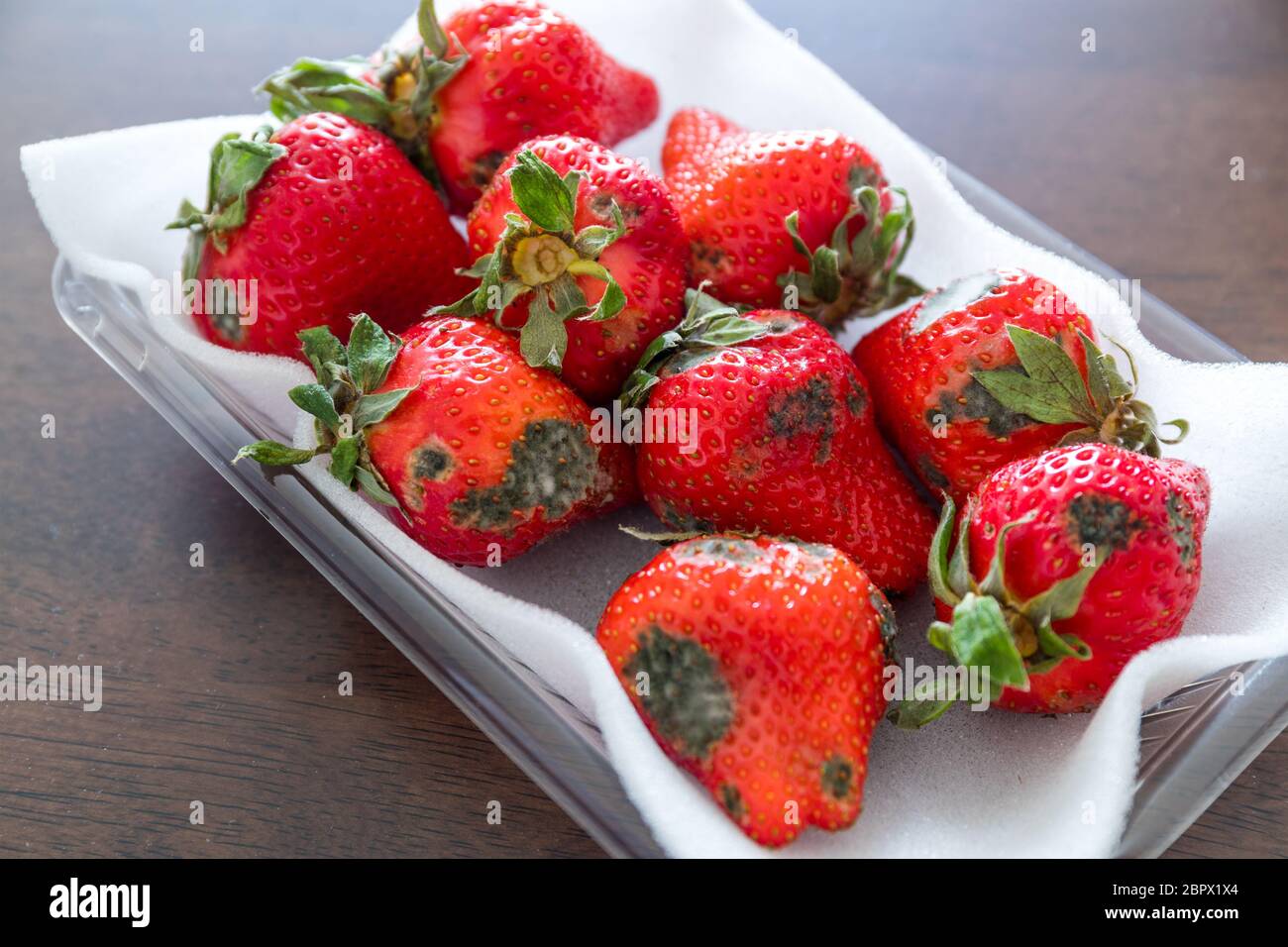 Stack of Spoiled strawberries Stock Photo - Alamy