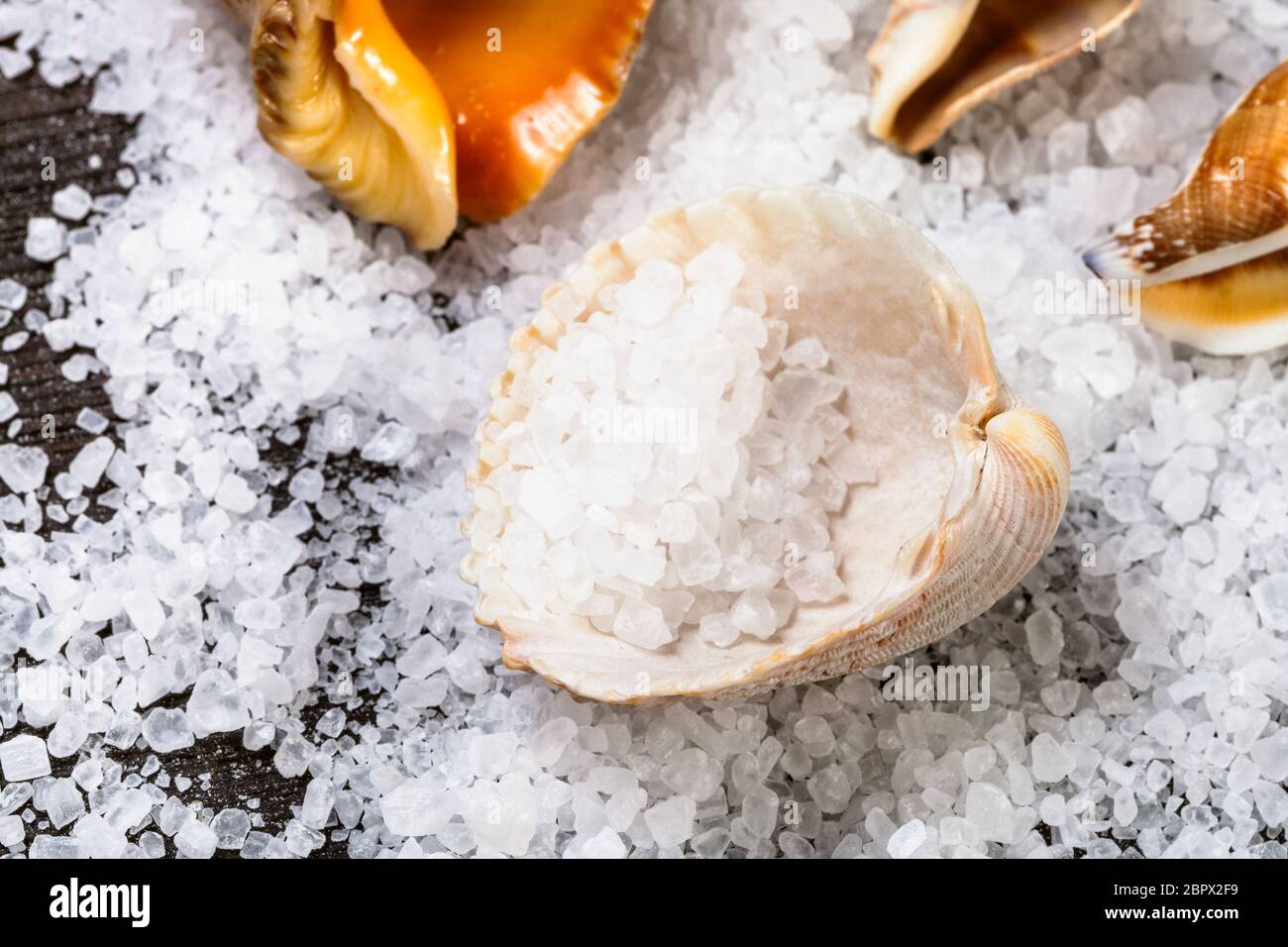 Seashell with coarse grained Sea Salt on dark brown wooden board Stock ...