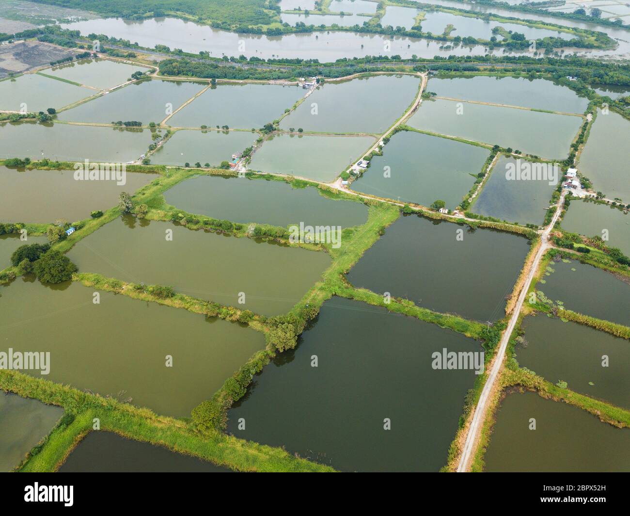 Top view of Fish hatchery pond Stock Photo - Alamy