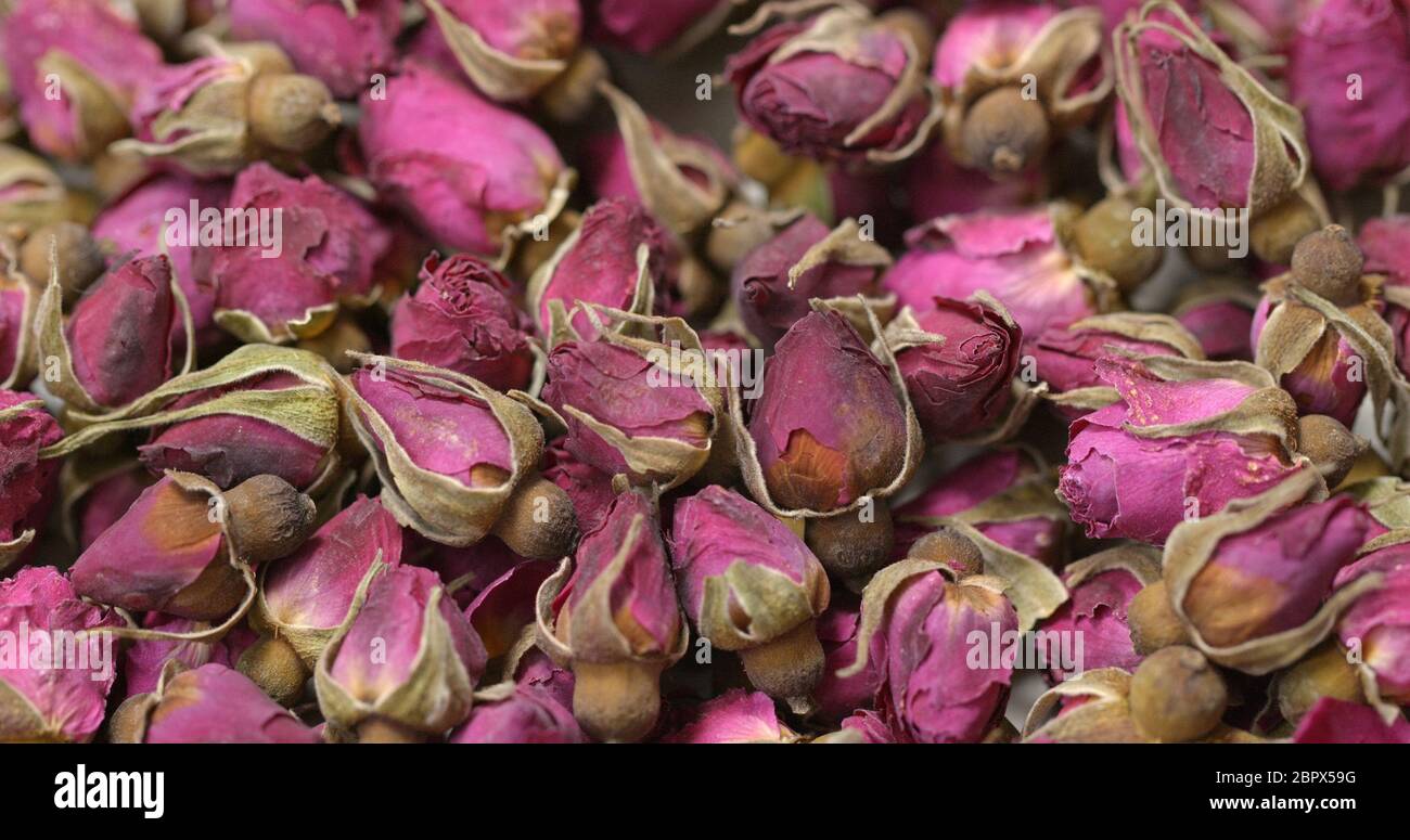 Herbal rose tea Stock Photo - Alamy