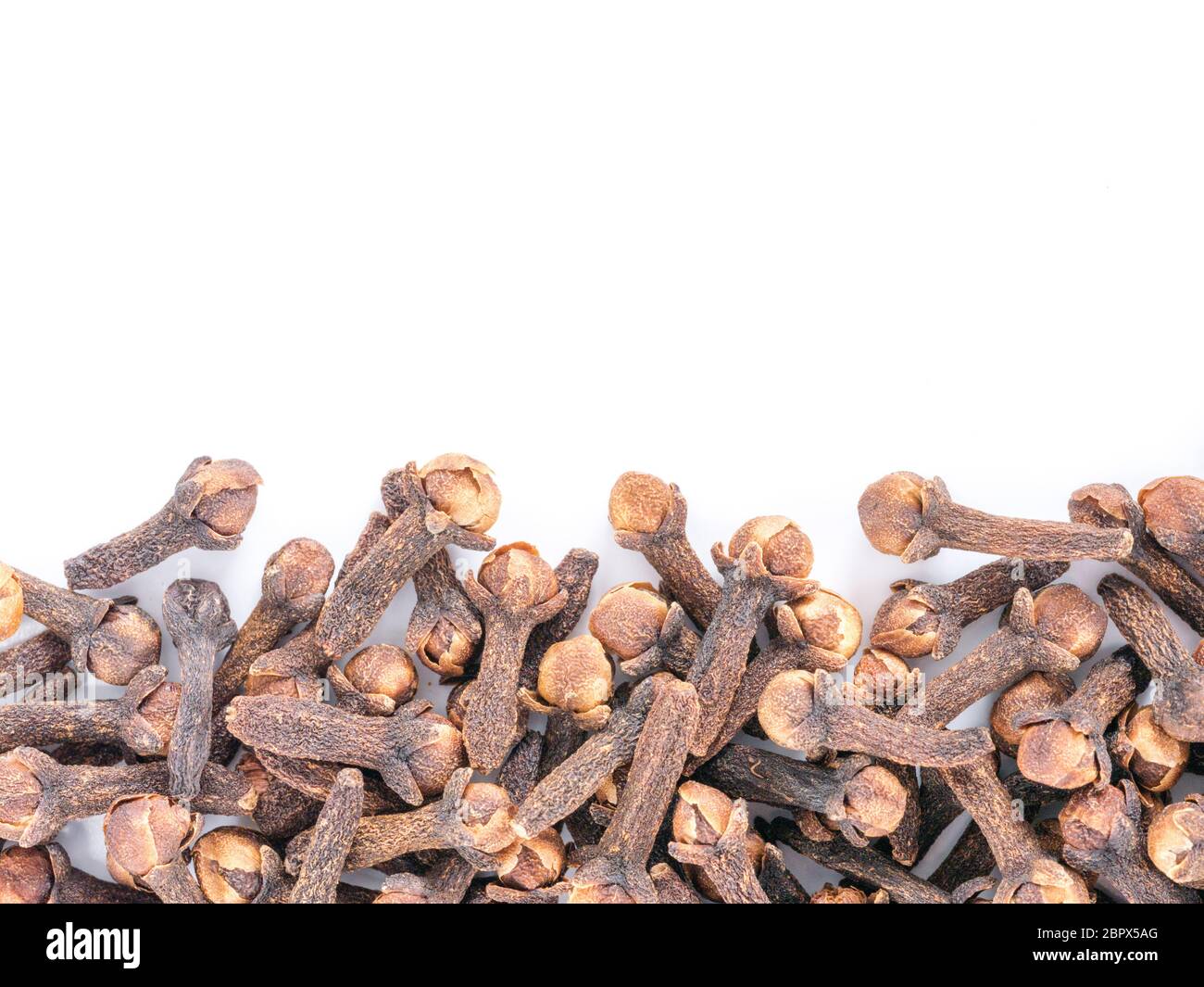 Cloves spice on white background with copy space. Isolated one edge ...