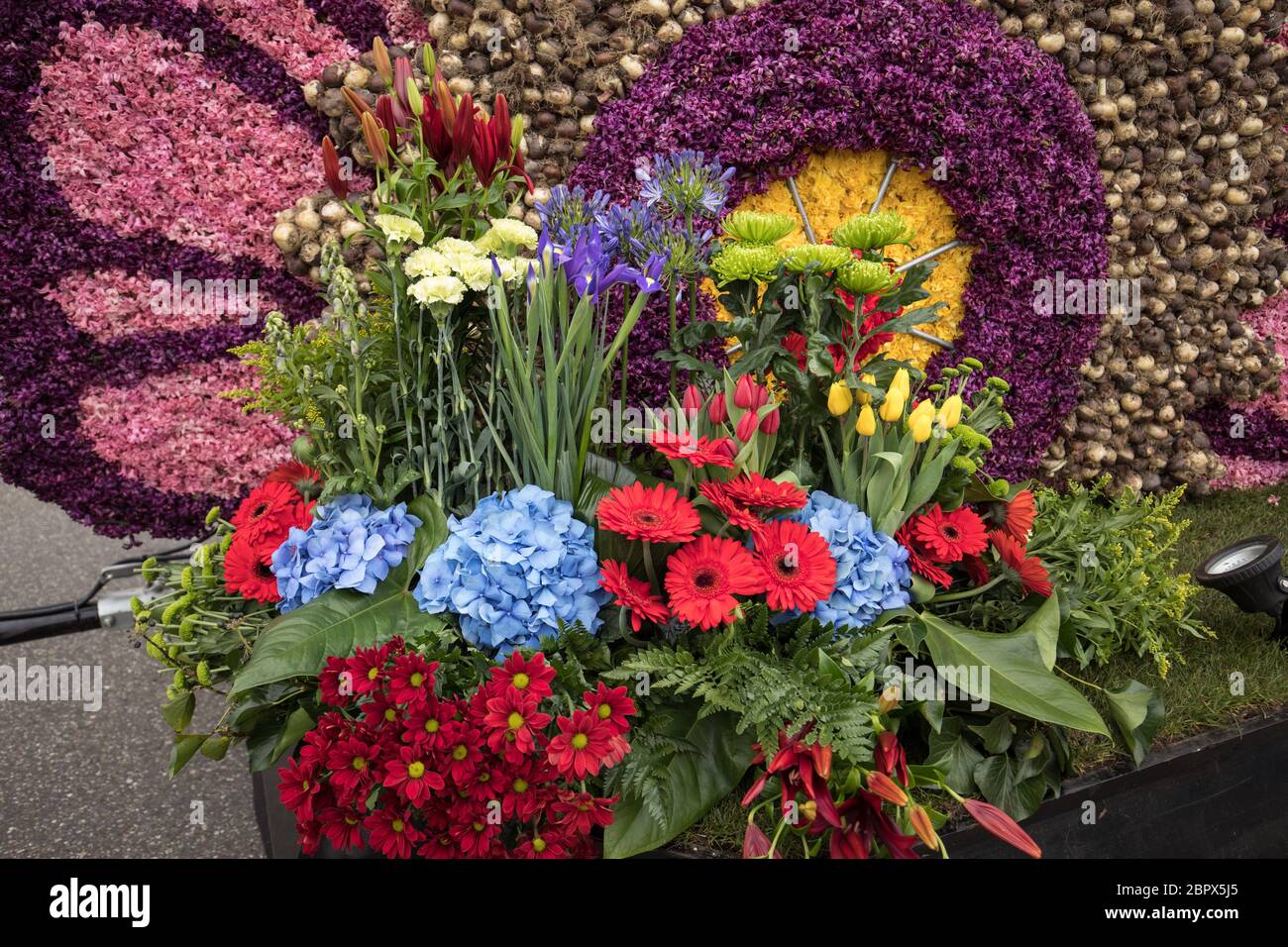 Floristic decorations at the traditional flowers parade Bloemencorso ...