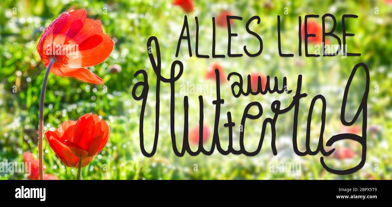 German Calligraphy Alles Liebe Zum Muttertag Means Happy Mothers Day ...