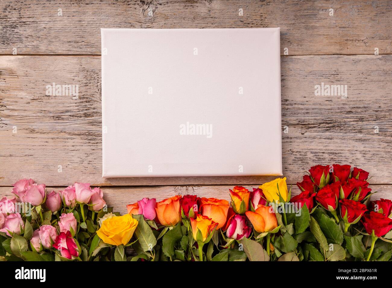 Colorful rose flowers over wooden table. Top view with copy space Stock ...