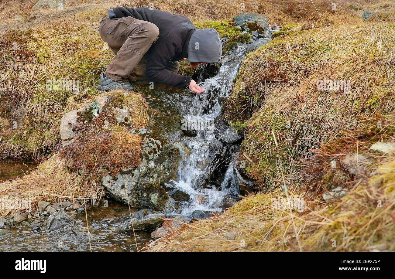 Drinking water from a pure mountain river in Icelandic Highlands Stock ...