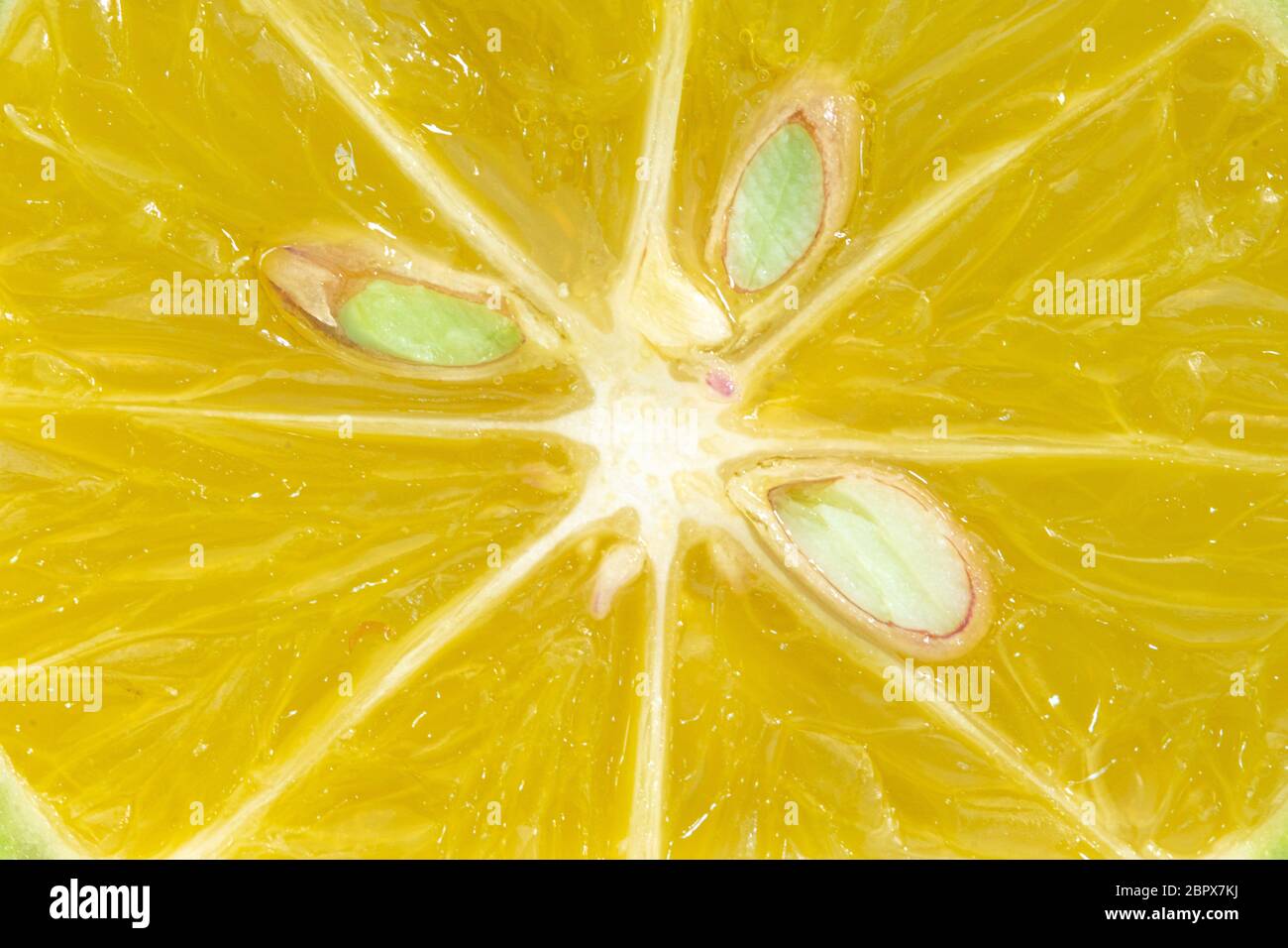 Texture Fresh organic rustic slice lime isolated on white background ...