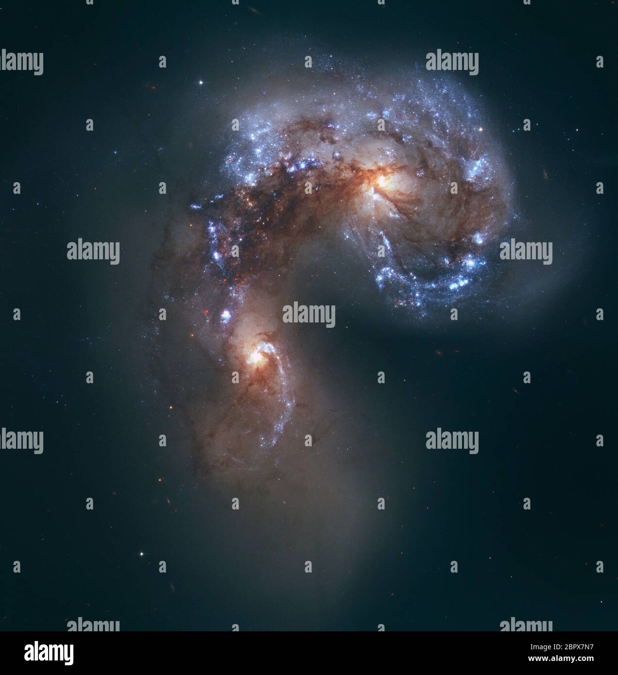 NGC 4038 and 4039, Antennae Galaxies in the constellation Corvus ...