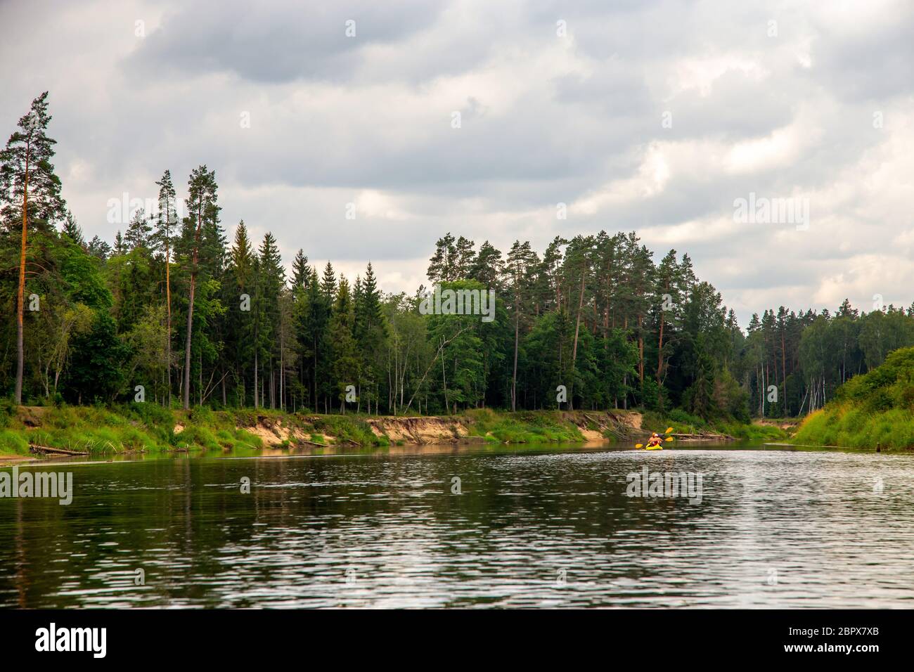 Landscape with cliff near the river Gauja, forest and sky. The Gauja is ...