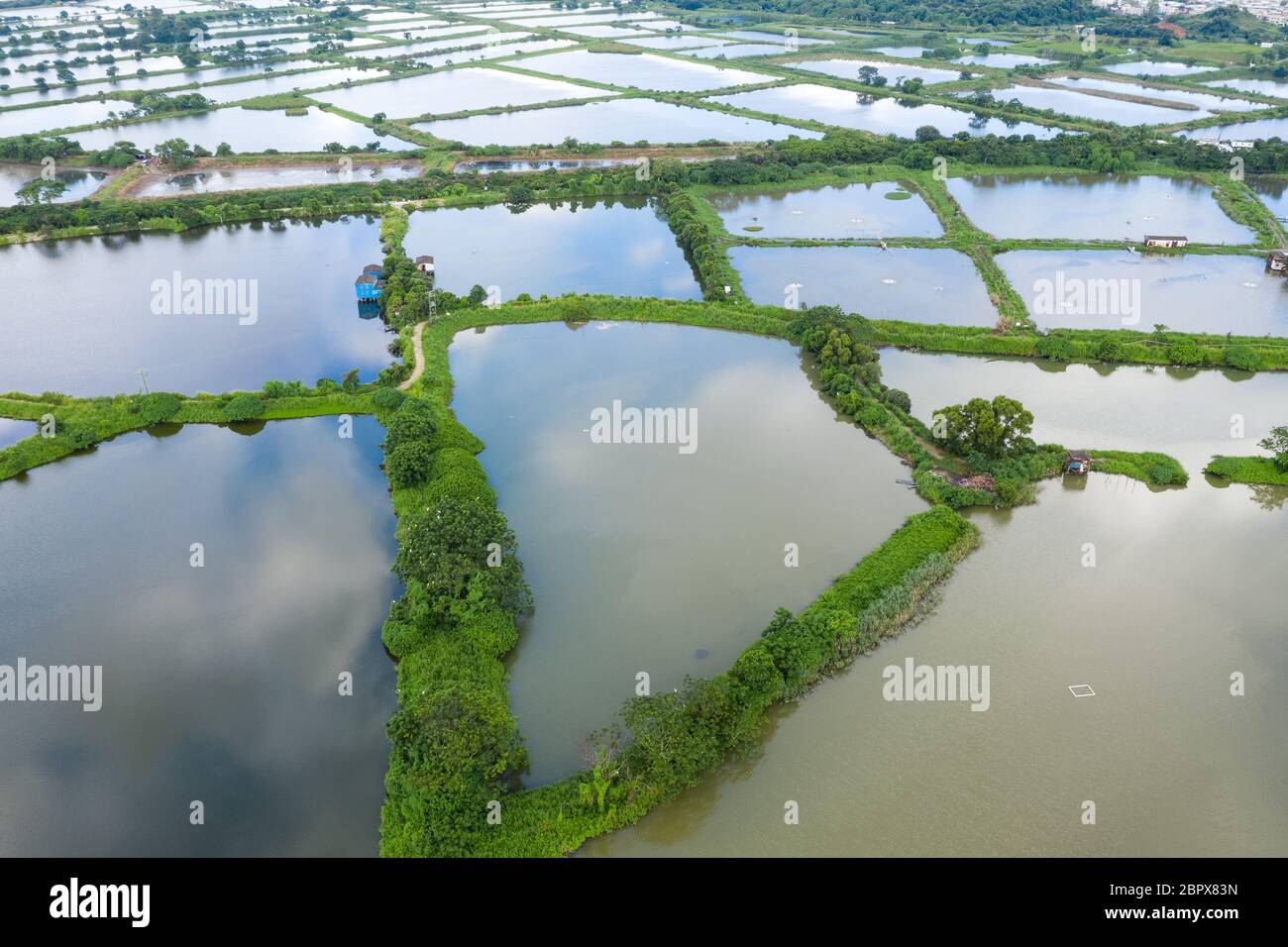 Top view fish hatchery hi-res stock photography and images - Alamy