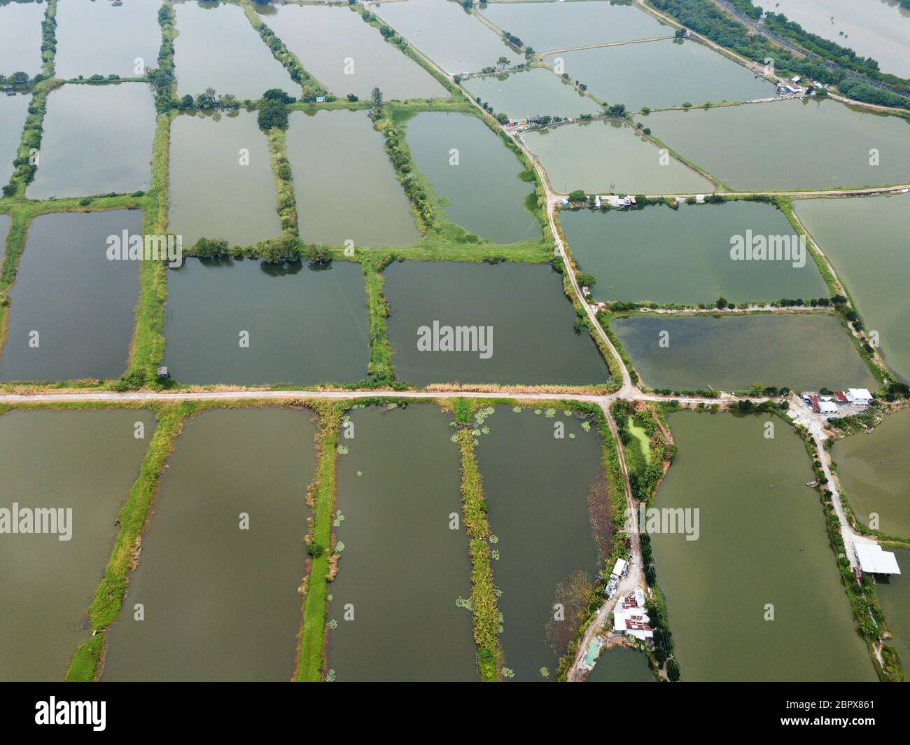 Aerial view of Fish hatchery pond Stock Photo - Alamy