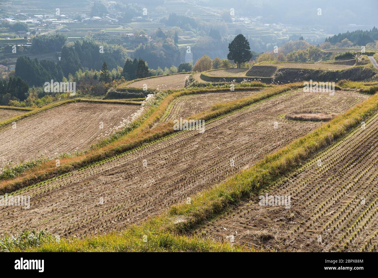 Traditional japanese countryside Stock Photo - Alamy