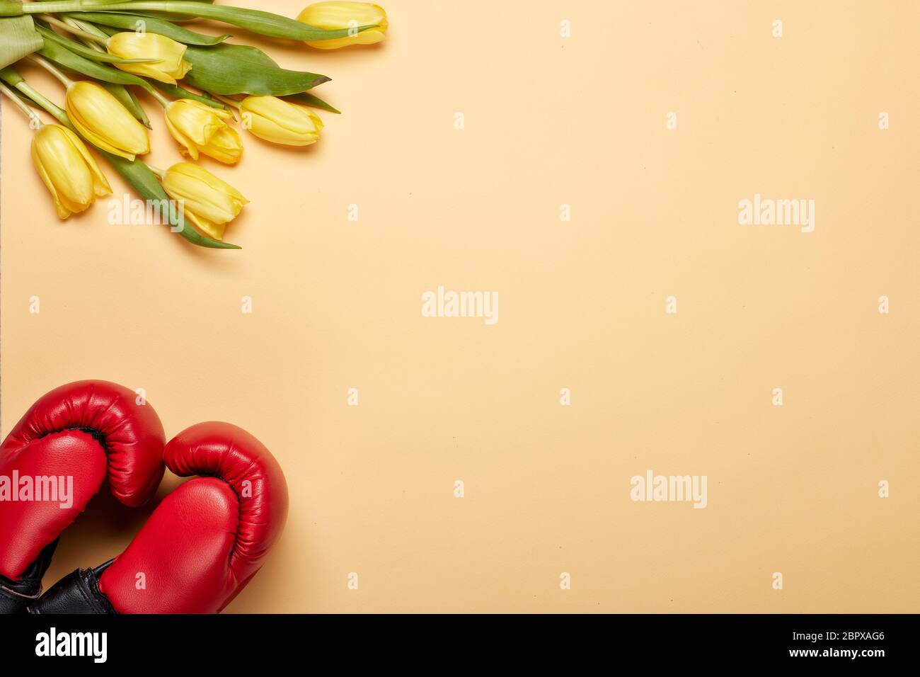 Boxing glove spring hi-res stock photography and images - Alamy