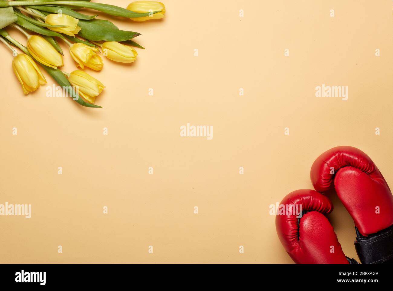 Boxing glove spring hi-res stock photography and images - Alamy