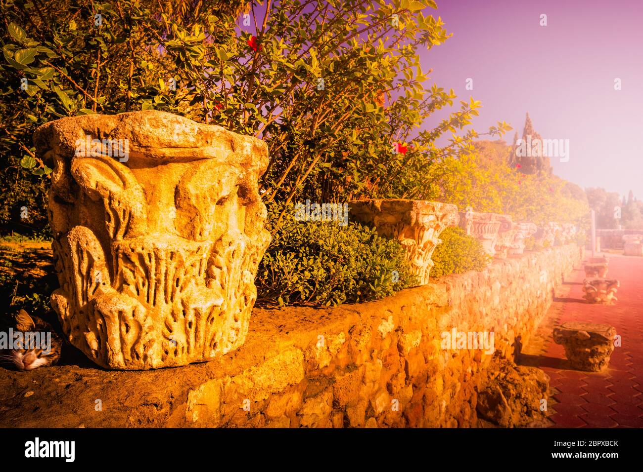 Capital of the carthaginian tunisia hi-res stock photography and images ...