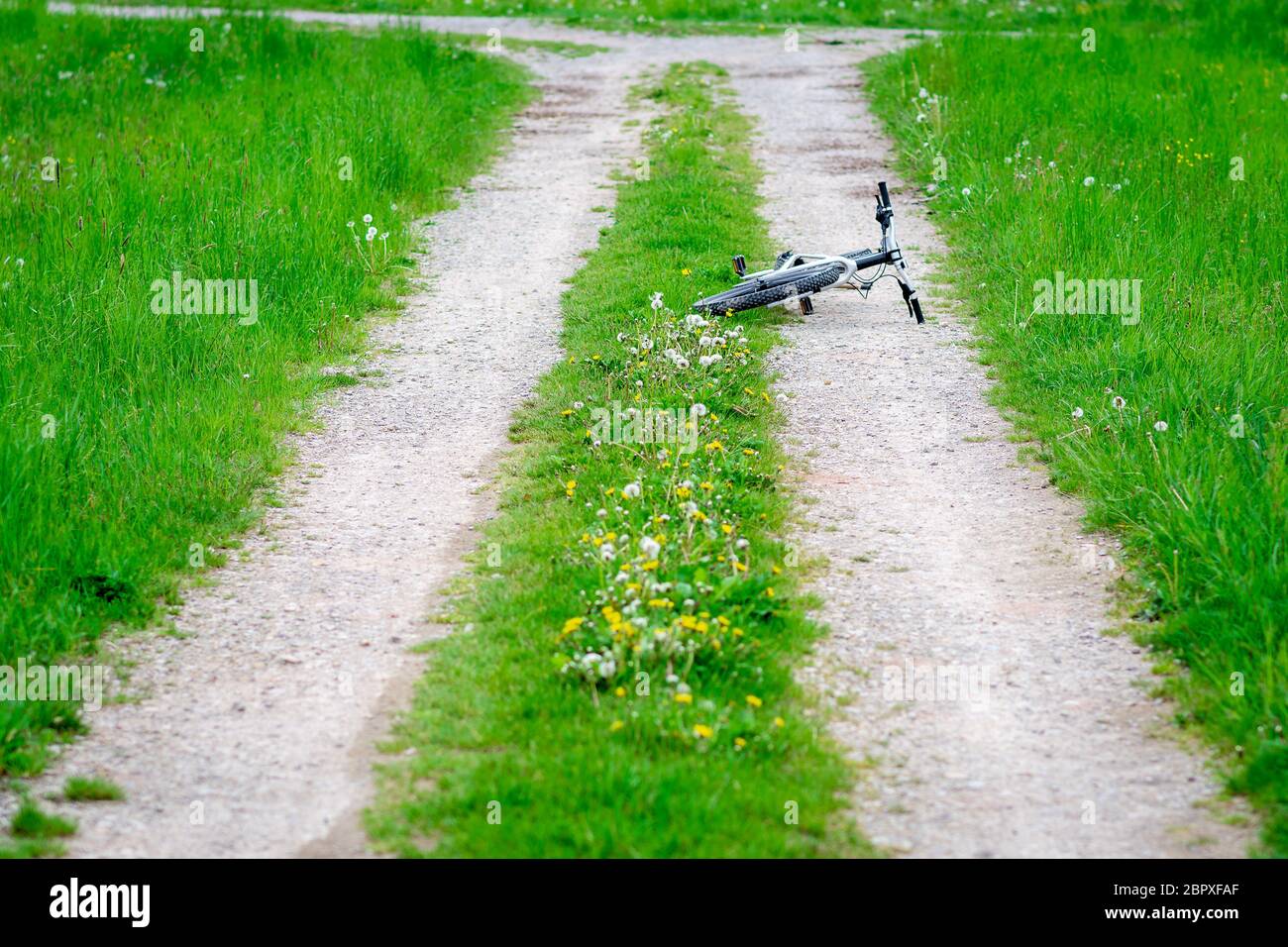 bike path winding through the gras Stock Photo - Alamy
