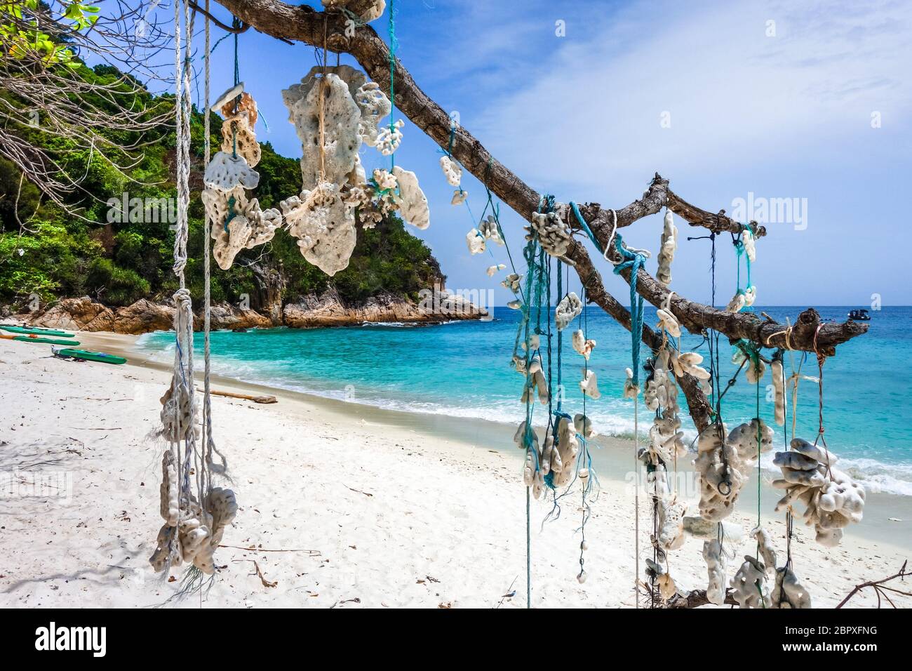 Hanging coral on romantic beach, Perhentian Islands, Terengganu ...