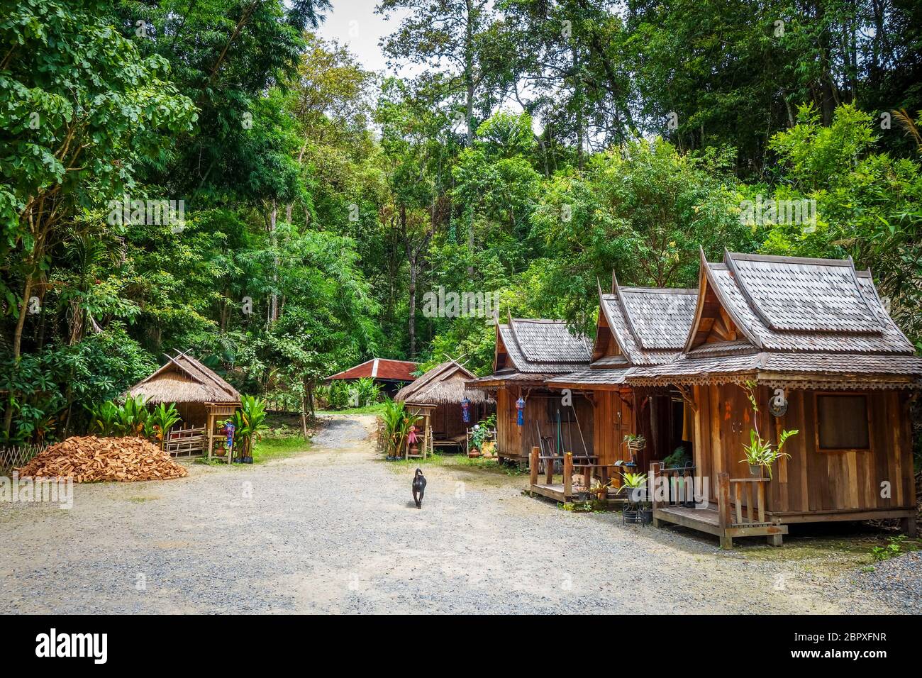 Wat Palad temple buildings in jungle, Chiang Mai, Thailand Stock Photo ...