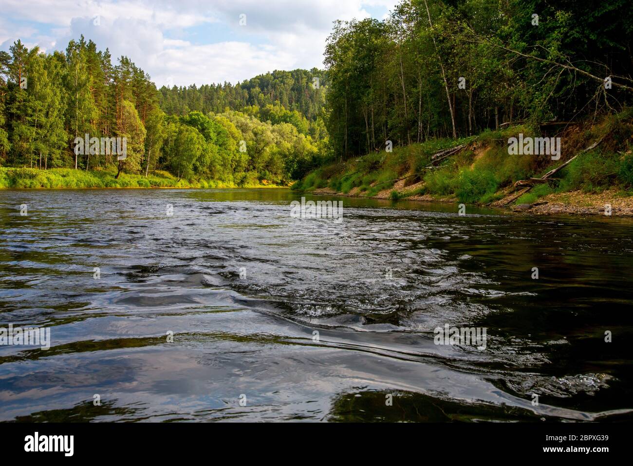 Landscape of flowing river, green forest and blue sky. Gauja is the ...