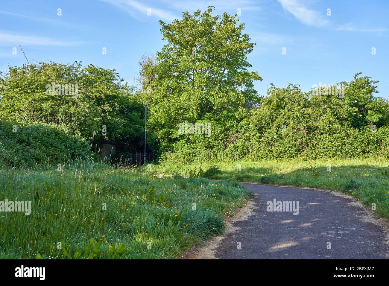Unmown grass hi-res stock photography and images - Alamy