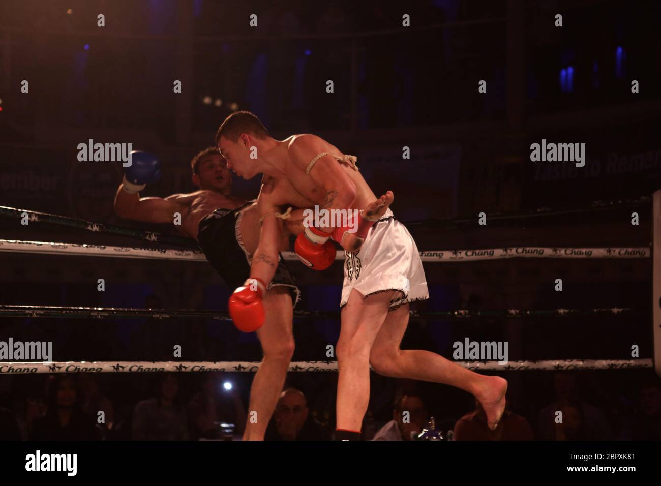 Muay Thai World Series National Chang Cup 2013. Championship involving ...