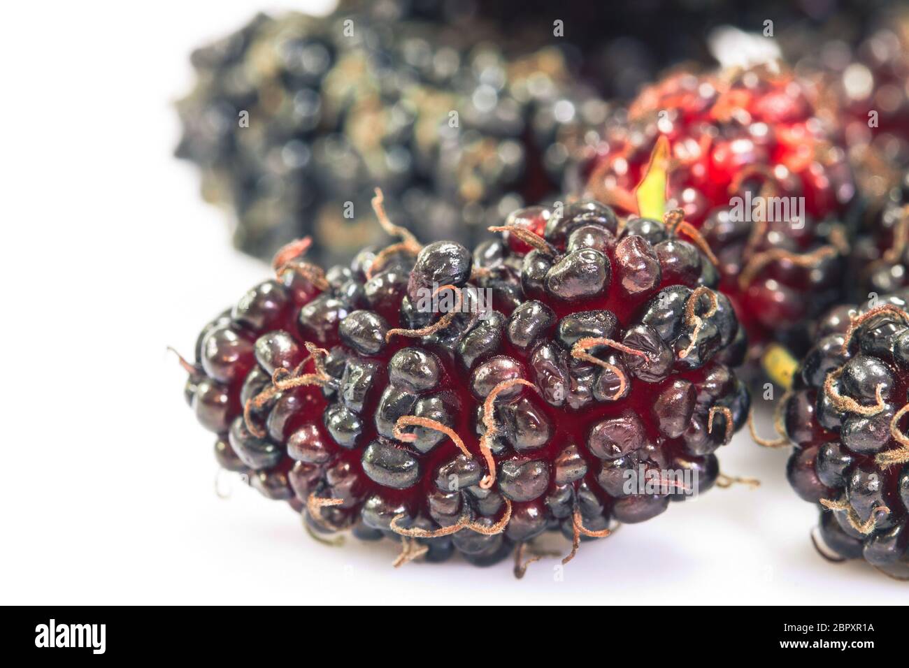 close up Mulberry isolated on white background Stock Photo - Alamy