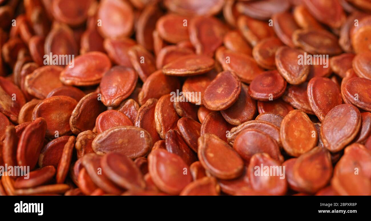 Red watermelon seed Stock Photo - Alamy