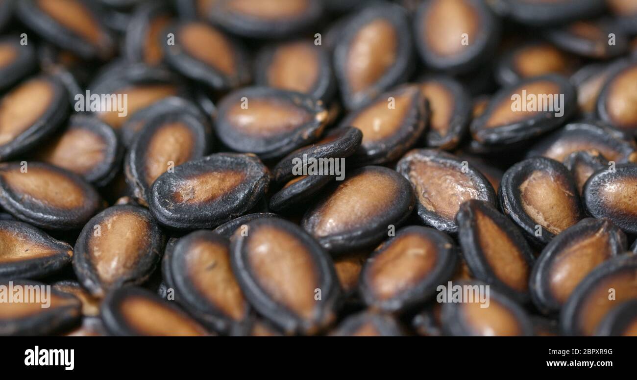 Black watermelon seed Stock Photo - Alamy