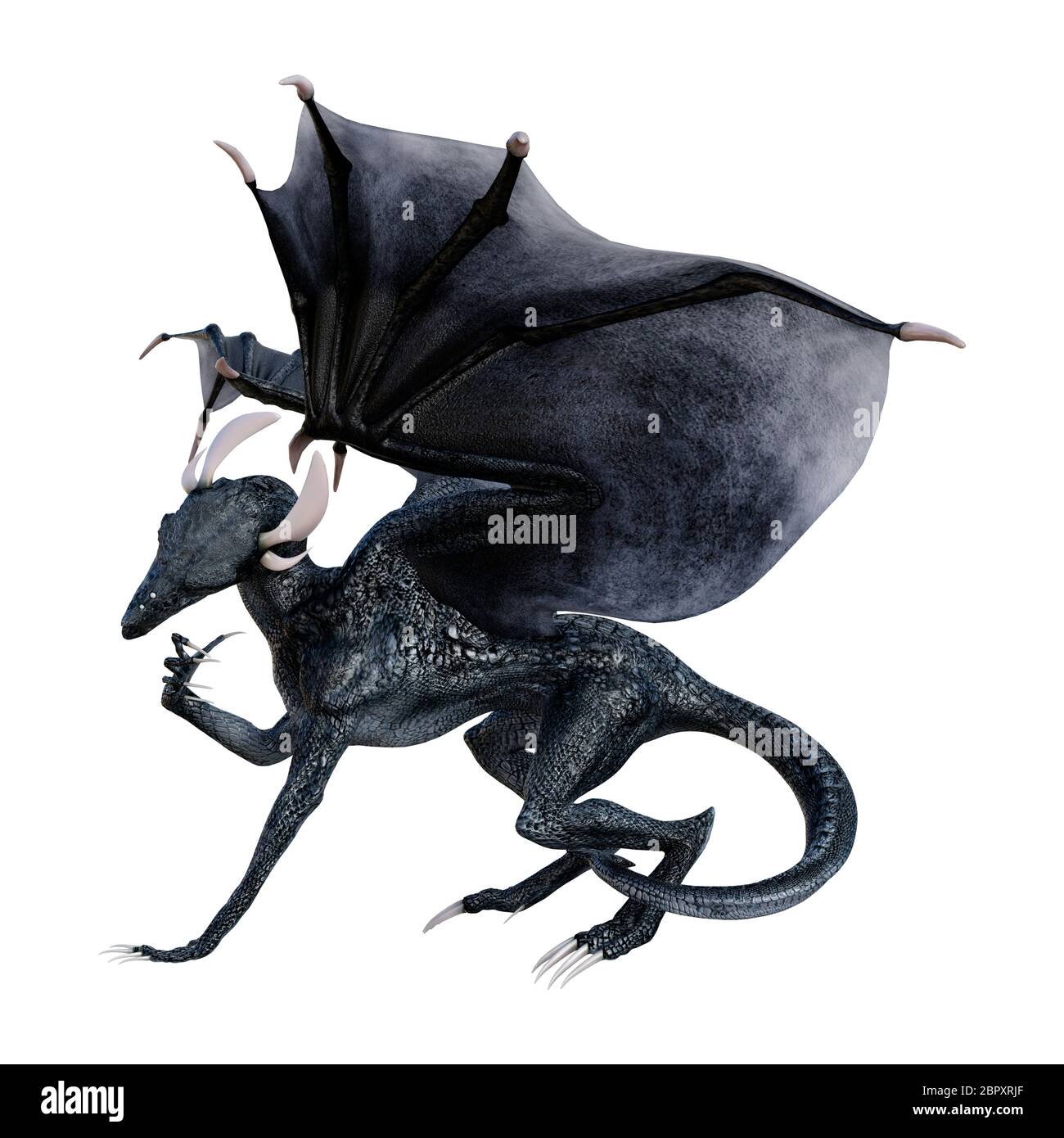 3D rendering of a black fantasy dragon isolated on white background ...