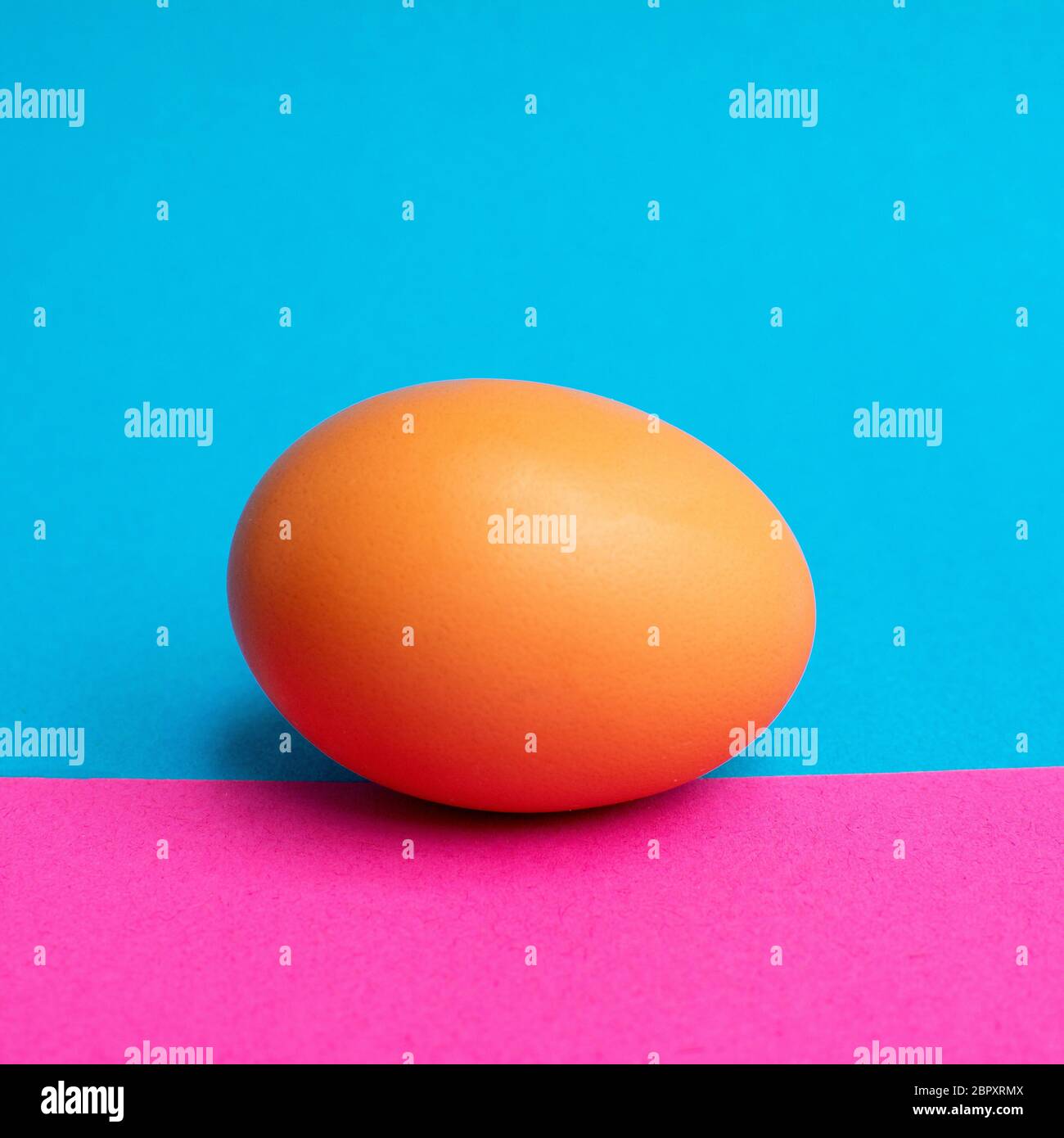 Closeup of a brown egg under the lights against a blue and pink ...