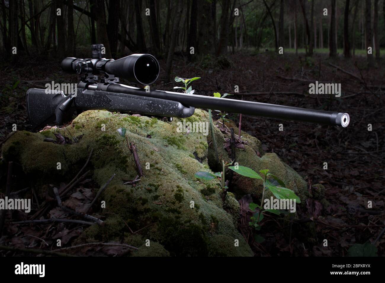 High powered rifle with a scope in a forest with room for text Stock ...