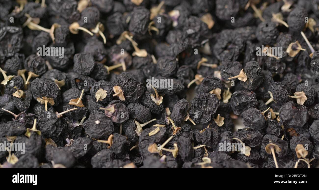 Lycium ruthenicum hi-res stock photography and images - Alamy