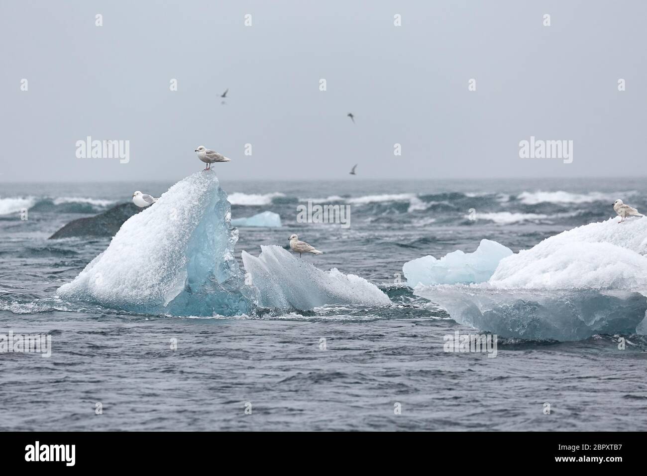 Ice melting in shallow river hi-res stock photography and images - Alamy