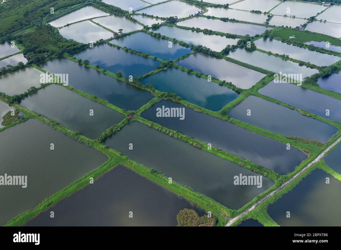 Aerial drone fish pond farm hi-res stock photography and images - Alamy